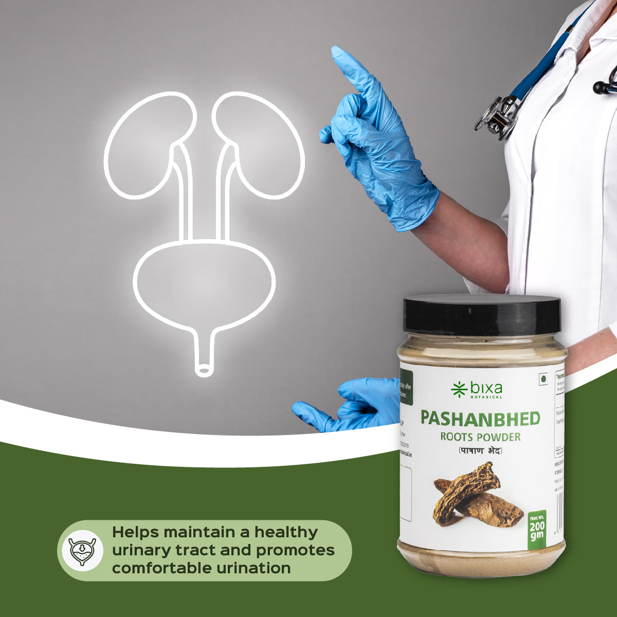 Pashanbhed Root Powder Saxifraga ligulata – Bixa Botanical India